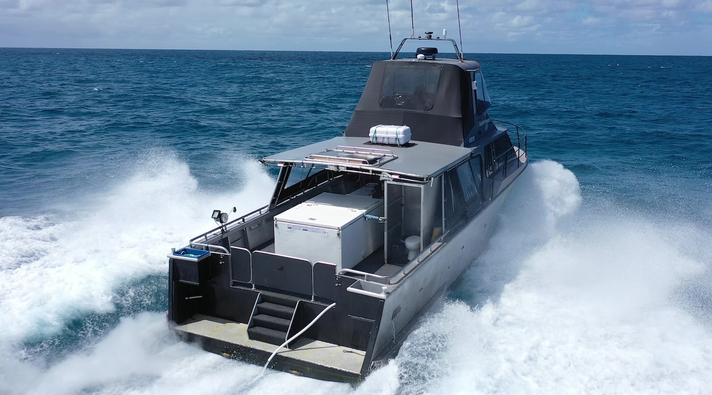 Tasman Charters — Gallery